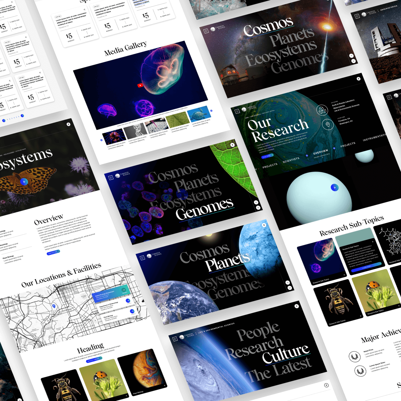 Carnegie Institute For Science - Taoti Creative