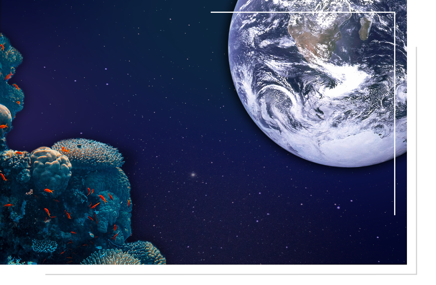 Carnegie Institute For Science - Taoti Creative